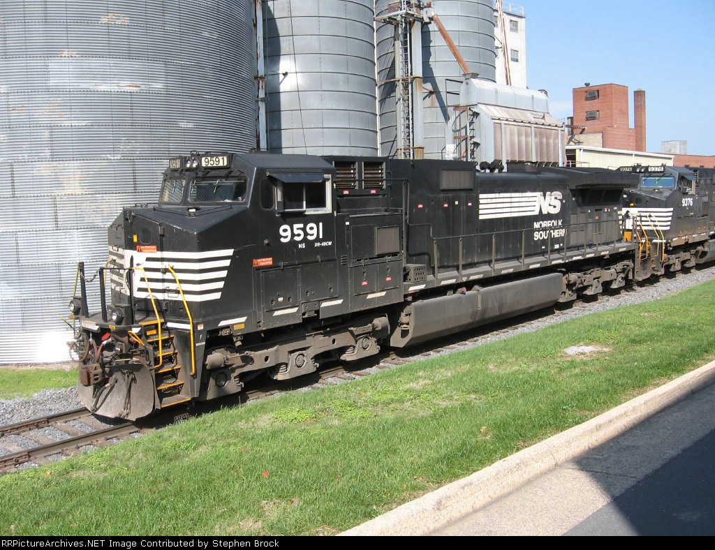 NS 9591 Basking In the Sun